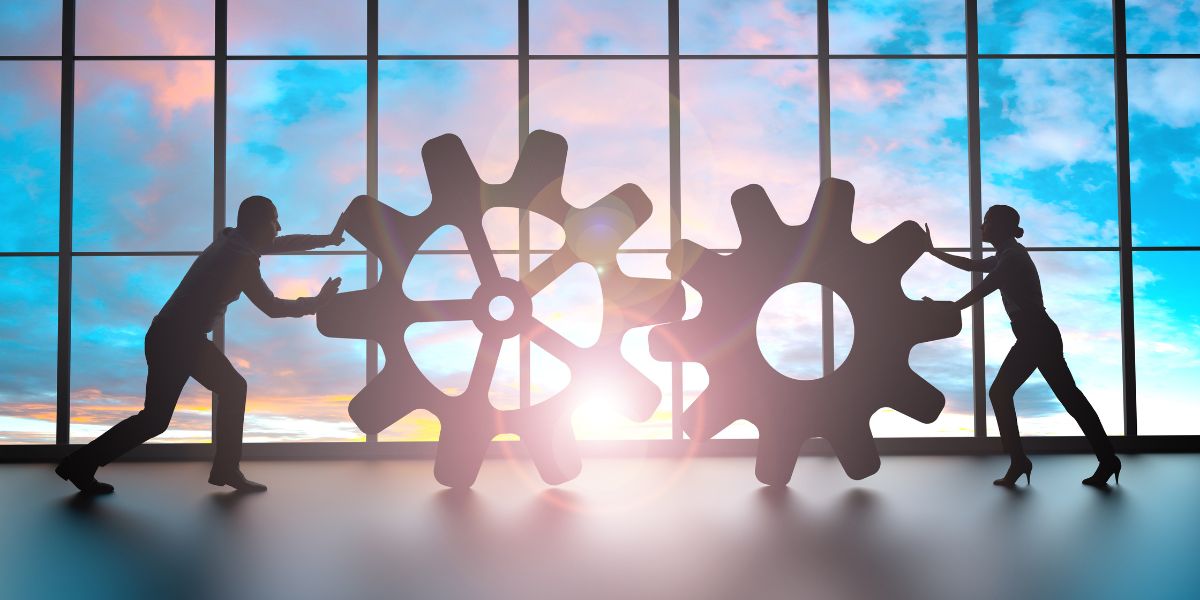 Naviguer entre les Permis et l'Informatique : Créer une Entreprise ...